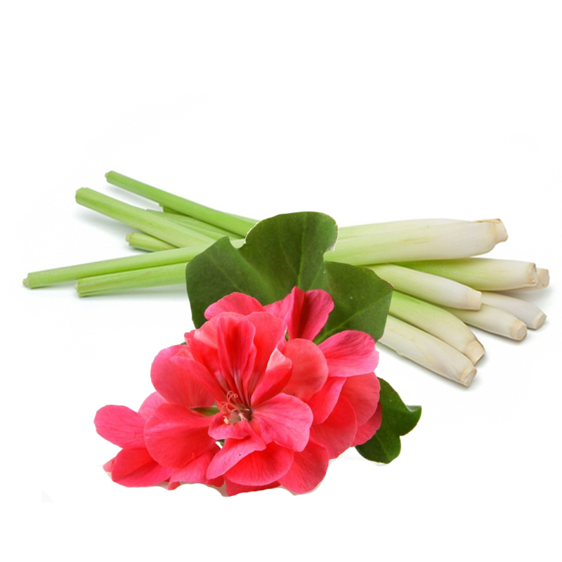 LEMONGRASS, GERANIUM BUG REPELLENT SPRAY • AQUA CIELE ę TERRE